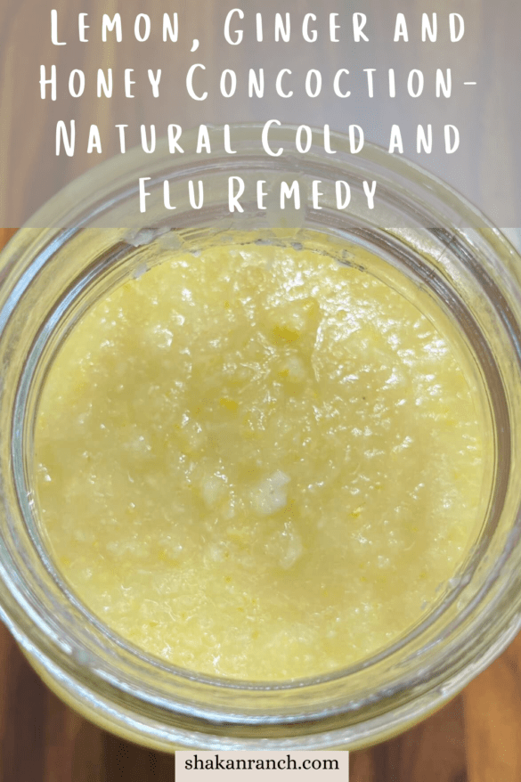 Lemon, Ginger and Honey Concoction-Natural Cold and Flu Remedy - Shakan ...