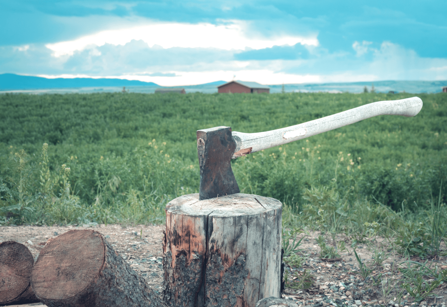 Find and use local resources for building off grid - Shakan Ranch