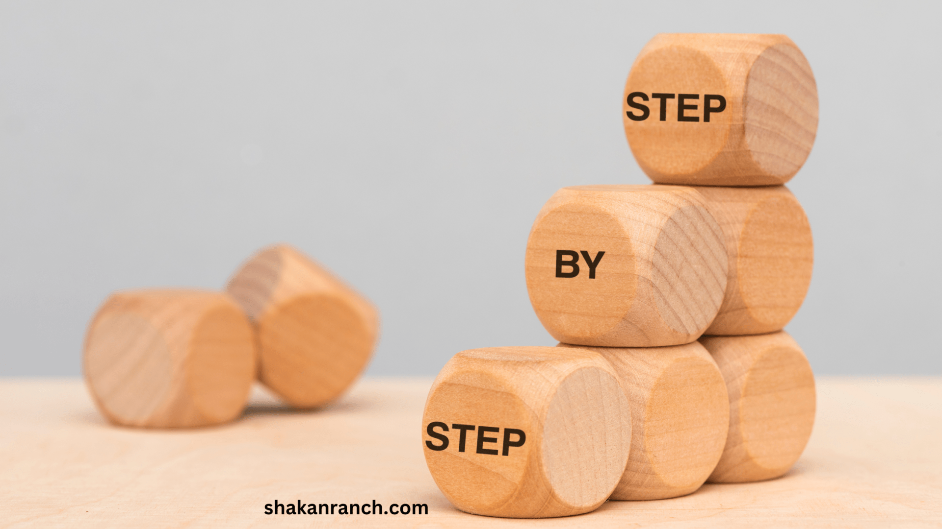 The Importance of Completing Each Step - Shakan Ranch