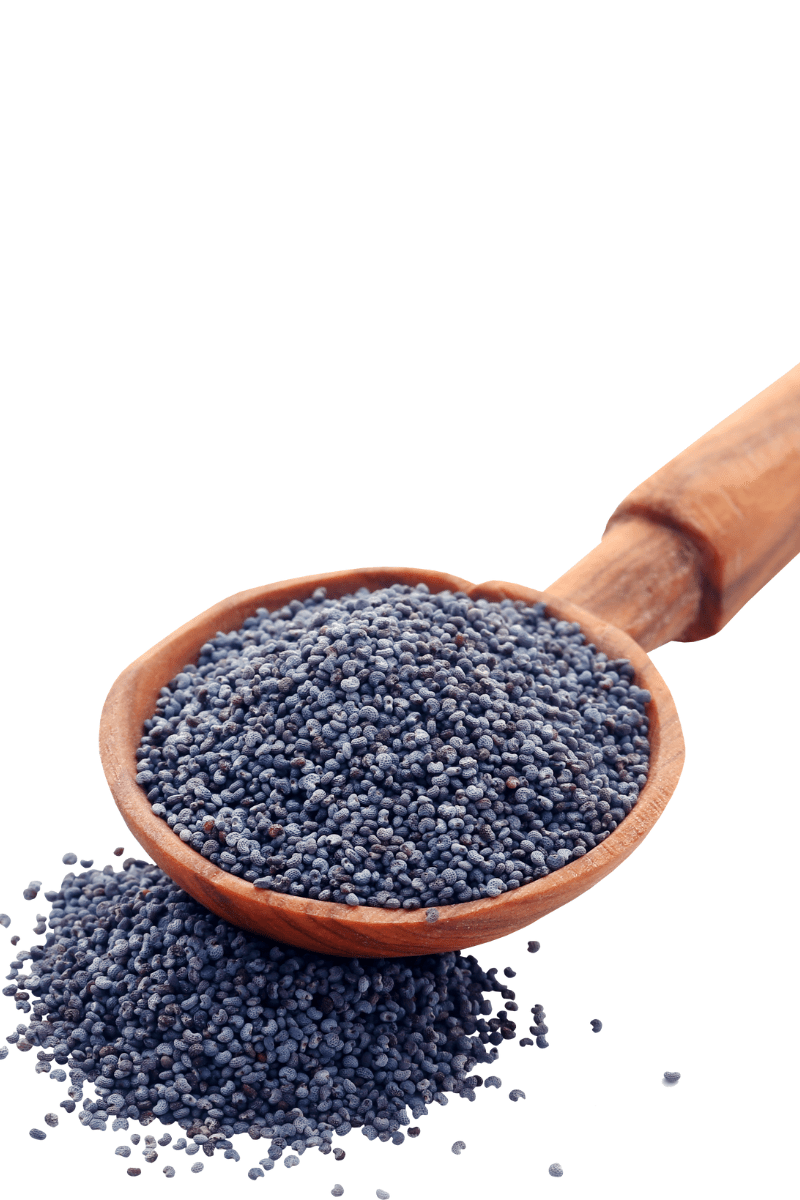 Homemade Poppy Seed Filling Recipe - Shakan Ranch