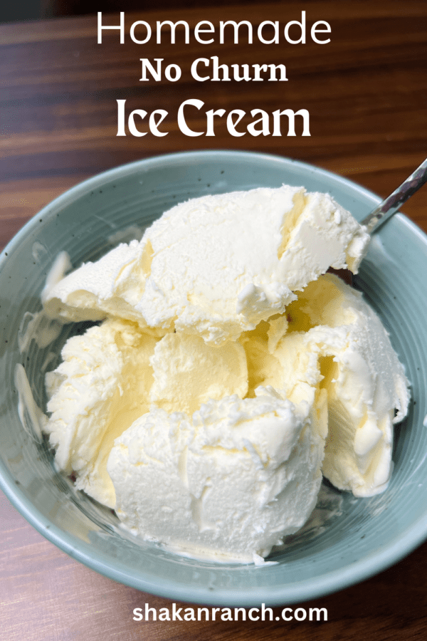 Homemade Ice Cream - EASY, No Churn Recipe - Shakan Ranch