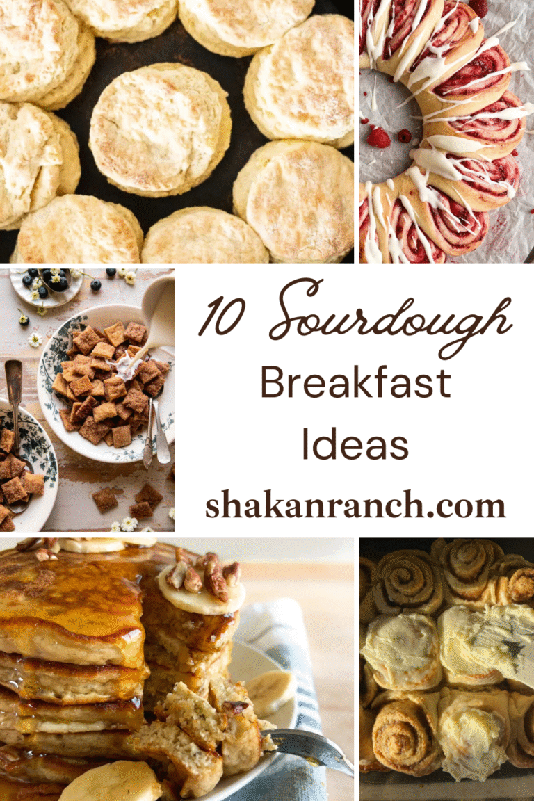 10 Irresistible Sourdough Breakfast Recipes to Start Your Day Right ...